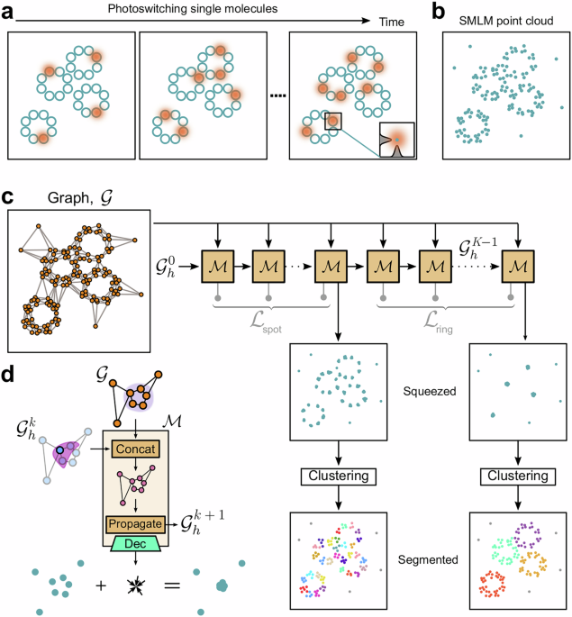 Enhanced spatial clustering of single-molecule localizations with graph ...