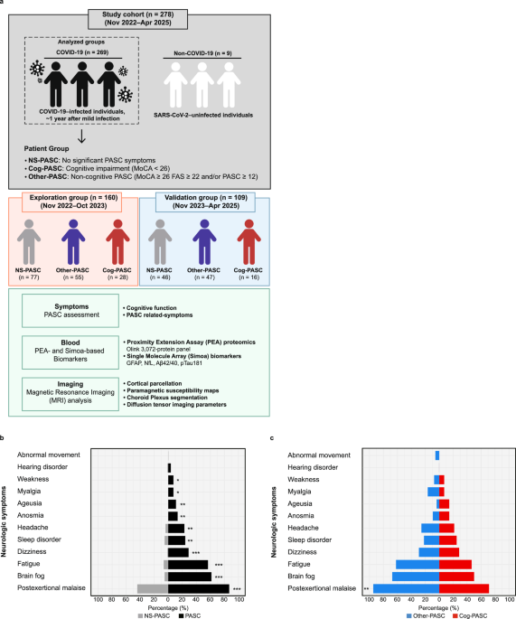 Distinct brain alterations and neurodegenerative processes in cognitive ...