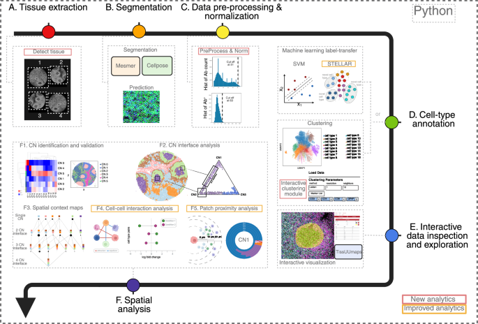 SPACEc: a streamlined, interactive Python workflow for multiplexed ...