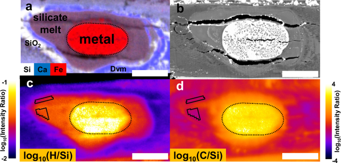 Origin of Earth’s hydrogen and carbon constrained by their core-mantle ...