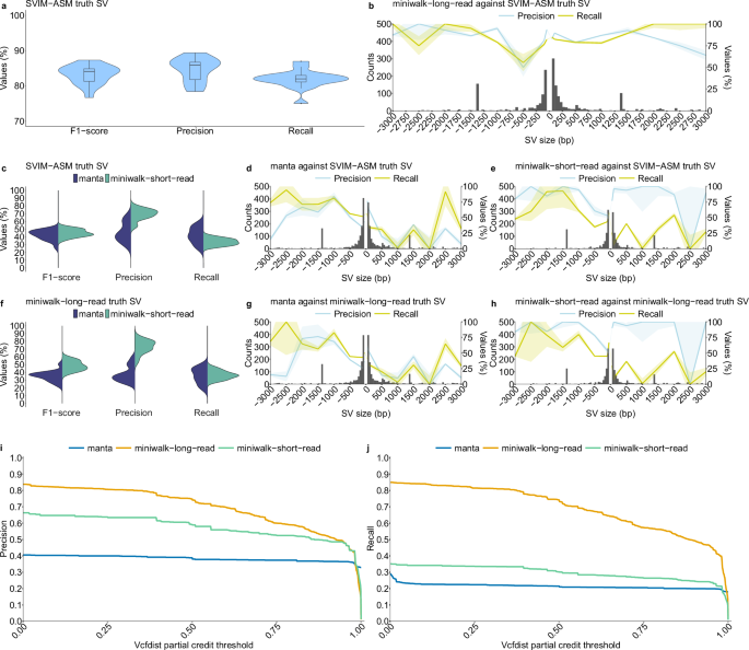 Genome graphs reveal the importance of structural variation in ...