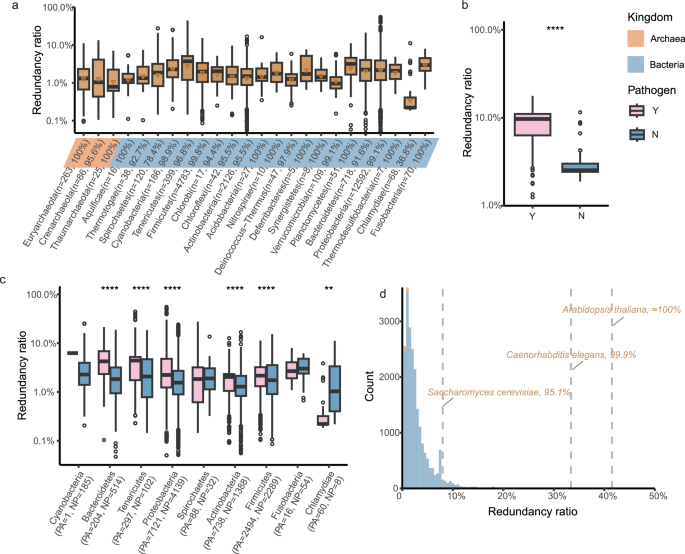 Deciphering gene redundancy in prokaryotic genomes provides ...