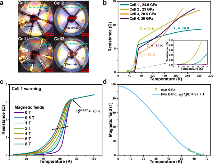Revealing superconducting gap in La3Ni2O7-δ by Andreev reflection ...