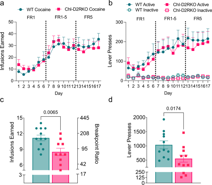 Epigenetic regulation of cocaine intake through dopaminergic control of ...