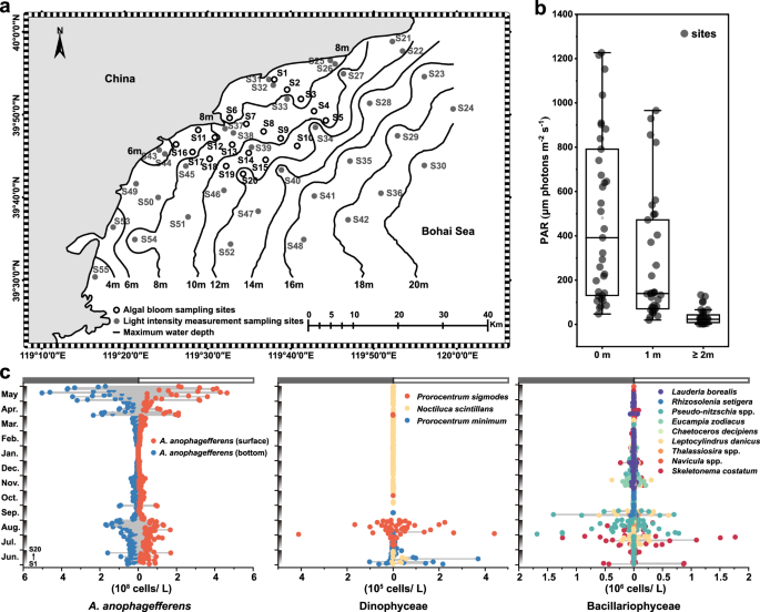 Mechanisms of light harvesting complex proteins in photoprotection of ...