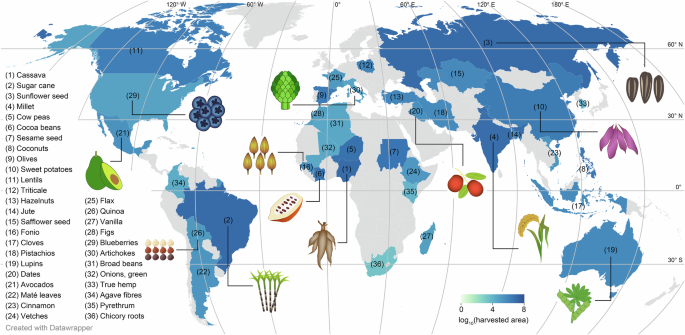 Revitalizing orphan crops to combat food insecurity | Nature Communications