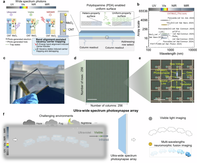 Ultra-wide spectrum photosynapse array with 64k-scale for neuromorphic ...