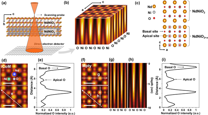 Direct imaging of residual oxygen disorder in an infinite-layer ...