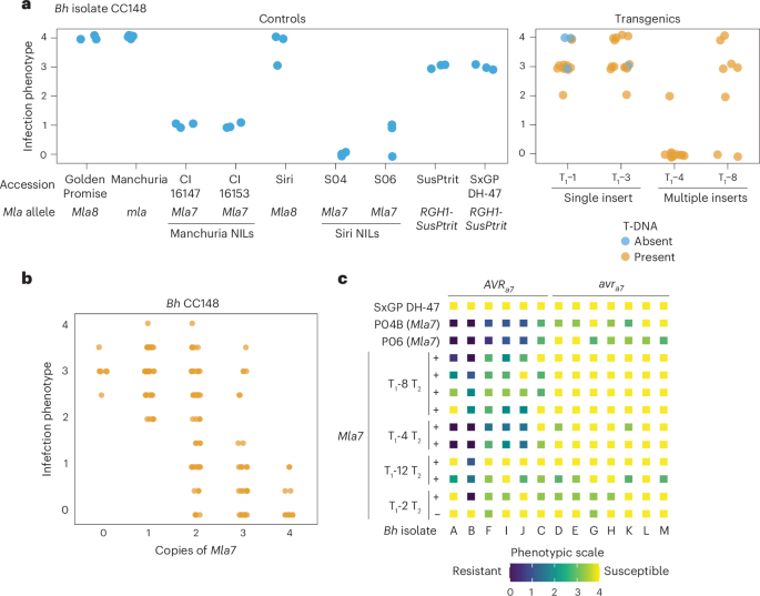 Discovery of functional NLRs using expression level, high-throughput ...