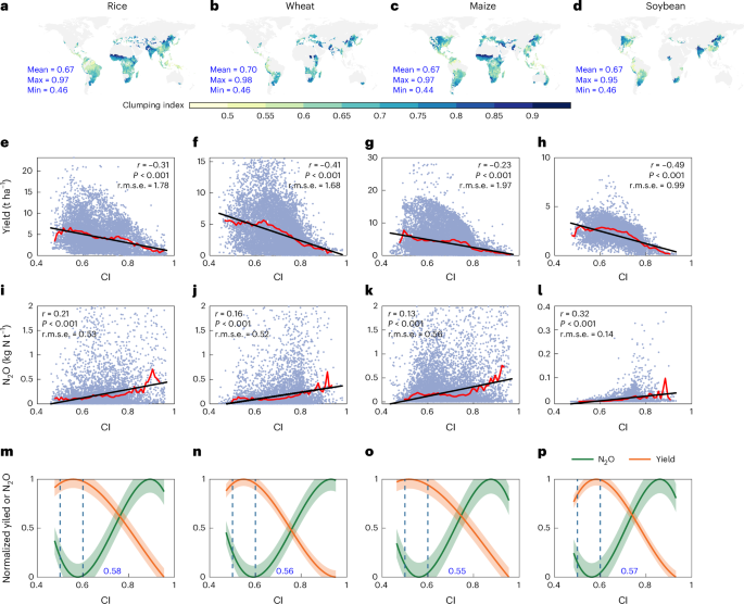 Clumped canopy architecture raises global crop yield and reduces N2O ...
