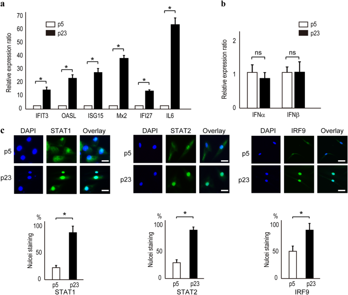ISGF3 with reduced phosphorylation is associated with constitutive ...
