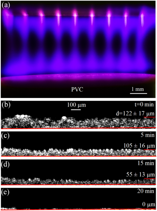 Disintegration of simulated drinking water biofilms with arrays of ...