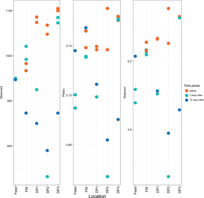 Bacterial release from pipe biofilm in a full-scale drinking water ...