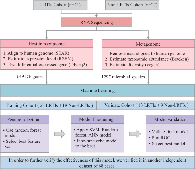 Integrating respiratory microbiome and host immune response through ...