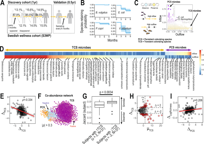 Transient colonizing microbes promote gut dysbiosis and functional ...
