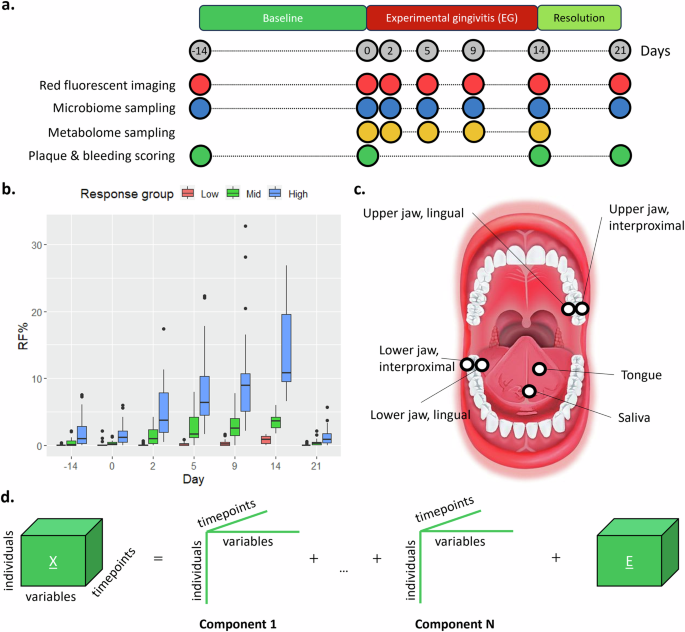 Multi-way modelling of oral microbial dynamics and host-microbiome ...