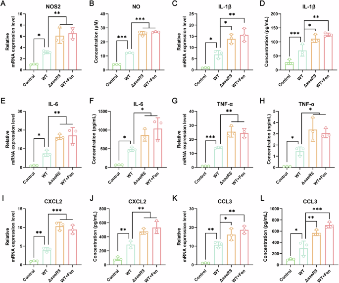 Staphylococcus aureus SaeRS impairs macrophage immune functions through ...