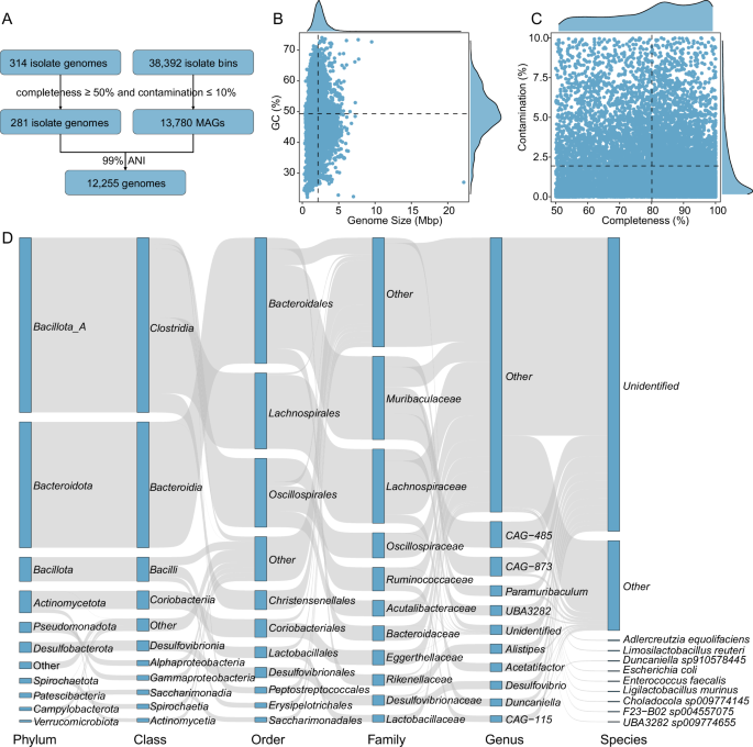 Comprehensive genome catalog analysis of the resistome, virulome and ...