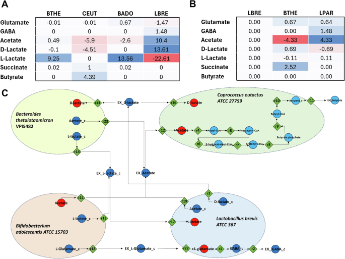 A rationally designed microbial consortium modulates neurodegeneration ...