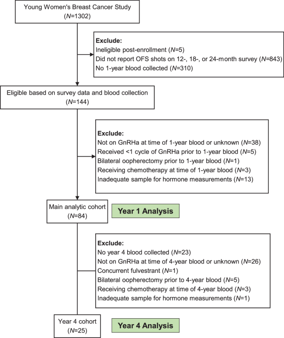 Estrogen levels in young women with hormone receptor-positive breast ...