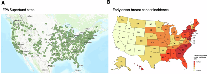 Field cancerization, accelerated aging, and immunosuppression: the ...