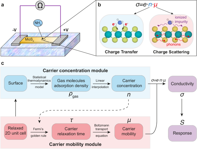 Accurate first-principles simulation for the response of 2D chemiresistive gas sensors | npj ...