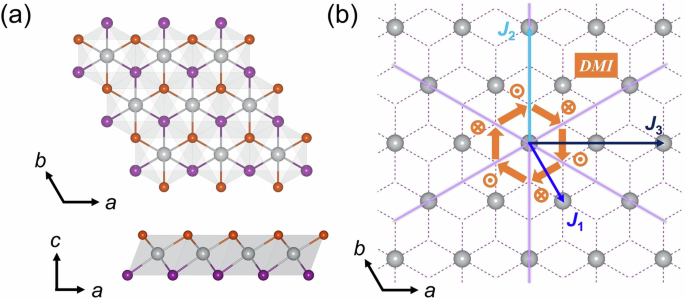 Dzyaloshinskii–Moriya interaction manipulation in multiferroic Janus ...