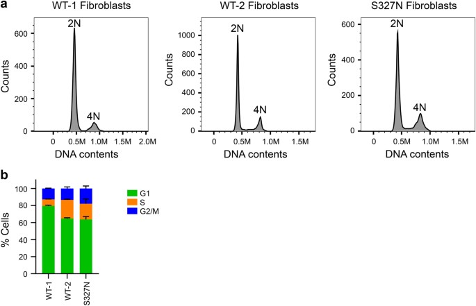 Familial STAG2 germline mutation defines a new human cohesinopathy ...