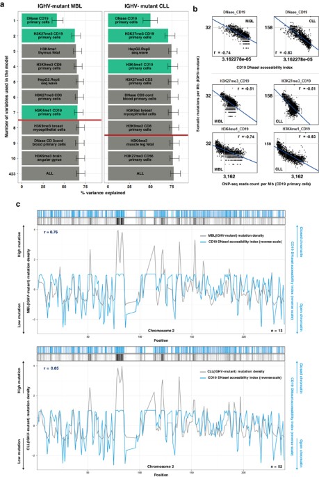 Chromatin marks shape mutation landscape at early stage of cancer ...