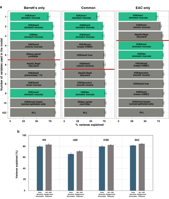 Chromatin marks shape mutation landscape at early stage of cancer ...