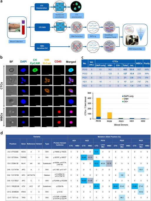 Workflow optimization of whole genome amplification and targeted panel ...