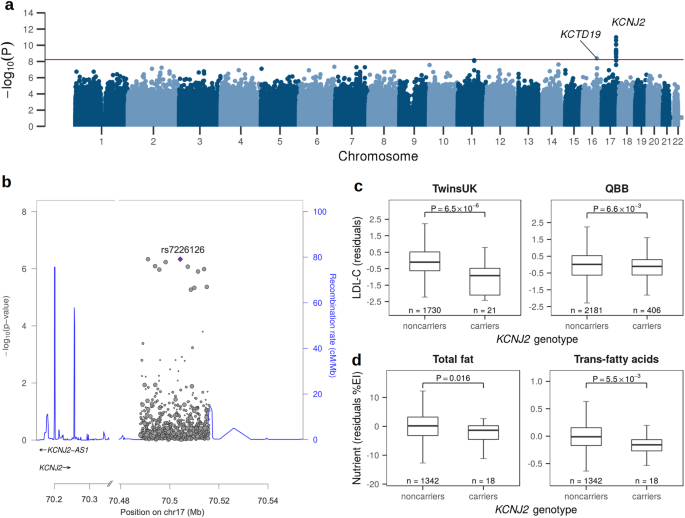Rare variants at KCNJ2 are associated with LDL-cholesterol levels in a ...