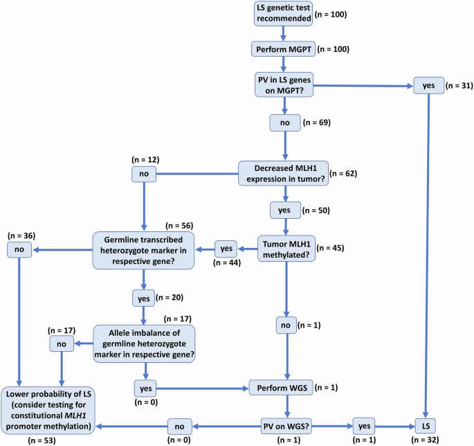 Whole genome sequencing completes the molecular genetic testing ...