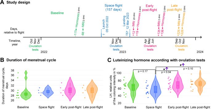 Weightlessness leads to an increase granulosa cells in the growing ...