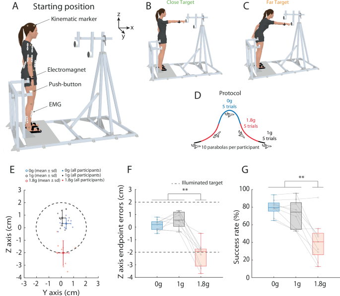 Hypergravity is more challenging than microgravity for the human ...