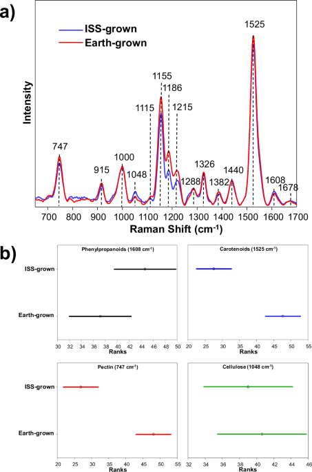 Raman spectroscopy as a tool for assessing plant growth in space and on ...