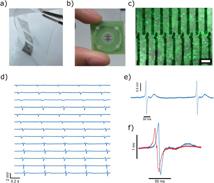 Printed microelectrode arrays on soft materials: from PDMS to hydrogels ...