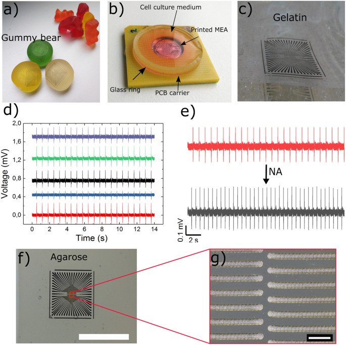 Printed microelectrode arrays on soft materials: from PDMS to hydrogels ...