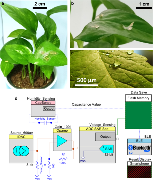 Compliant plant wearables for localized microclimate and plant growth ...