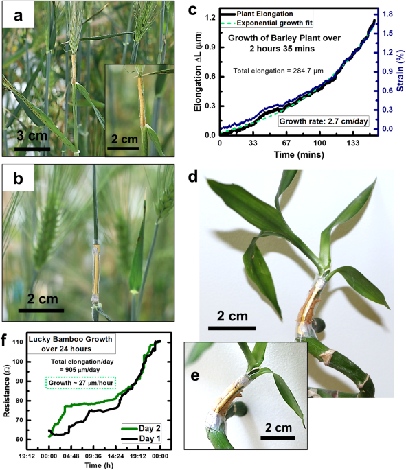 Compliant plant wearables for localized microclimate and plant growth ...