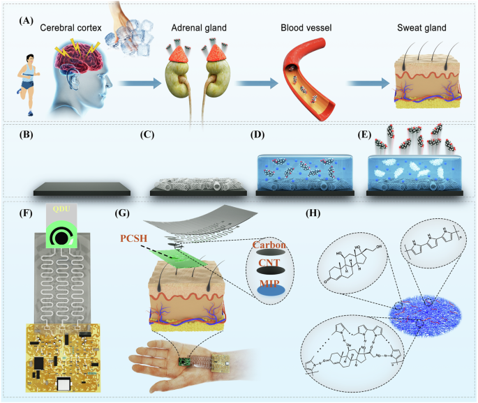 High-precision flexible sweat self-collection sensor for mental stress ...
