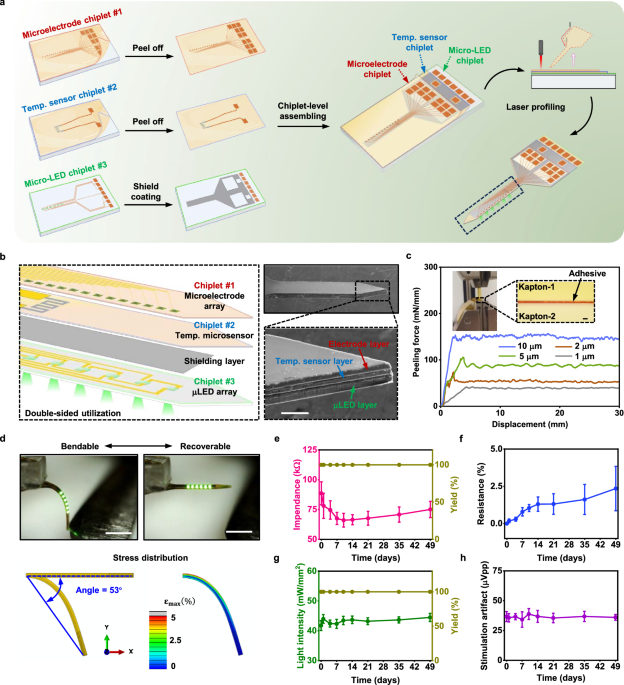 Flexible electronic-photonic 3D integration from ultrathin polymer chiplets | npj Flexible ...
