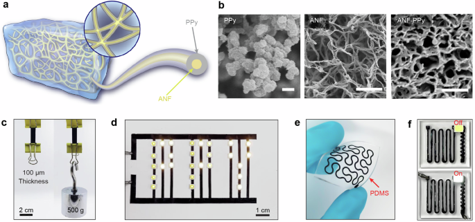 Strong and high-conductivity hydrogels with all-polymer nanofibrous ...
