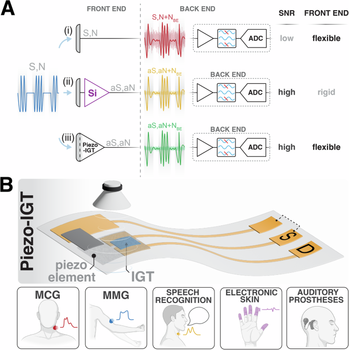 Piezoelectric ion gated organic electrochemical transistors for ...
