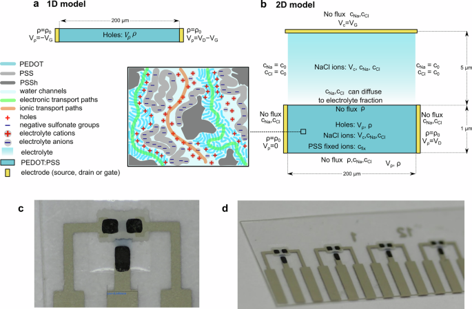 Rethinking organic electrochemical transistor modeling: the critical ...