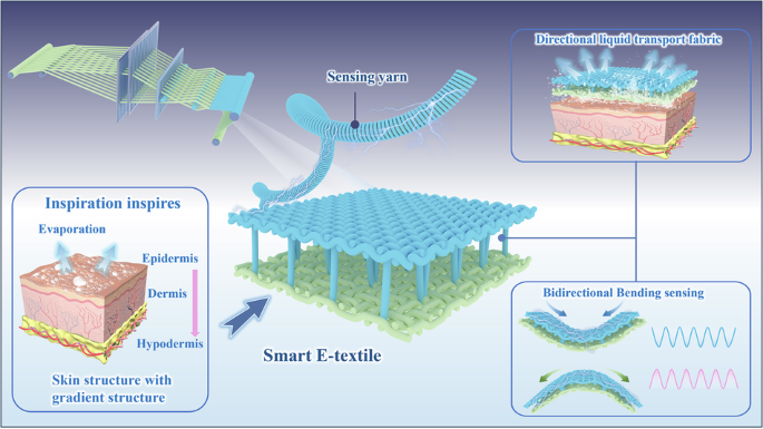 Skin-inspired Janus E-textile with bidirectional motion perception and ...