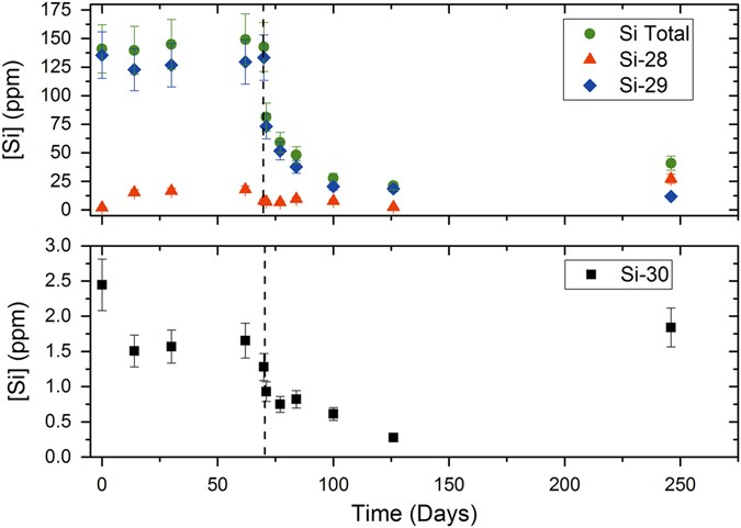 Various effects of magnetite on international simple glass (ISG ...