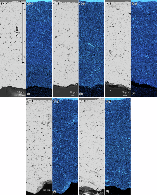 Insights into thermos-chemical attack of CMAS+NaVO3 mixtures on YSZ ...