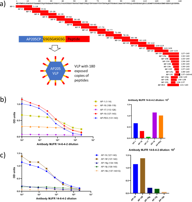Structural basis of epitope recognition by anti-alpha-synuclein antibodies MJFR14-6-4-2 | npj ...