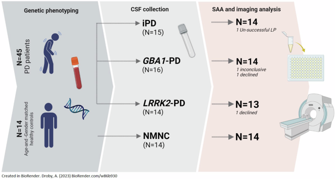 Radiological markers of CSF α-synuclein aggregation in Parkinson’s ...